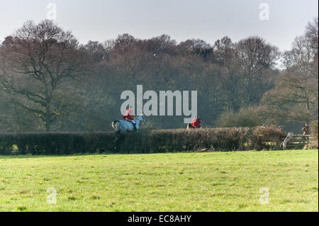 A fox hunt in the Surrey countryside Stock Photo - Alamy