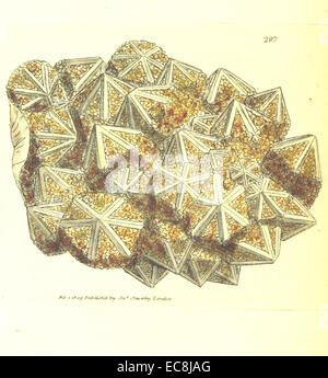 This illustration from 'Minerals in Rock Sections' depicts thin ...