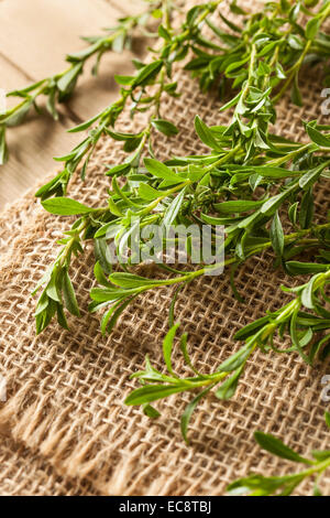 Raw Organic Green Savory Herb in a Bunch Stock Photo - Alamy
