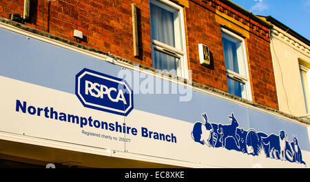 RSPCA Northampton branch charity Stock Photo - Alamy