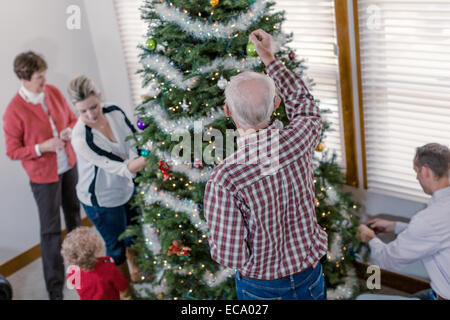 Family decorating beautiful live Christmas tree Stock Photo - Alamy