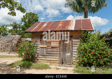 Traditional hut in a Marron village, Dan village, Upper Suriname River ...