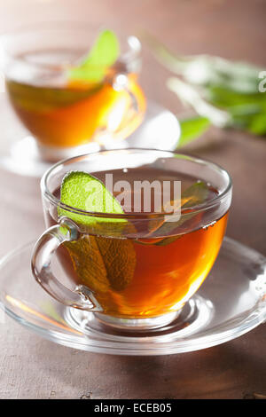 herbal sage tea with green leaf in glass cups Stock Photo - Alamy