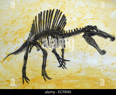 Spinosaurus dinosaur, side view on white background Stock Photo - Alamy