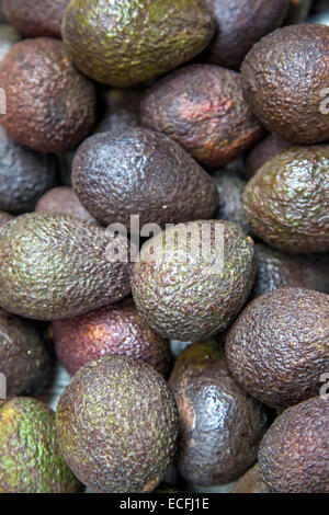 Avocados on the market in Agadir, Morocco Stock Photo - Alamy