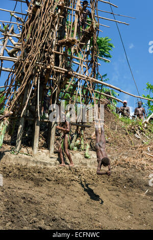 Land diving, Naghol ceremony in the village of Rangsuksuk, Island of ...