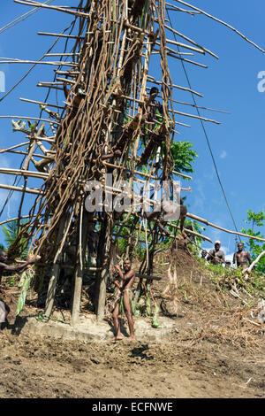Land diving, Naghol ceremony in the village of Rangsuksuk, Island of ...