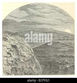 An 1862 illustration by Stern, depicting Abyssinian large horned cattle ...