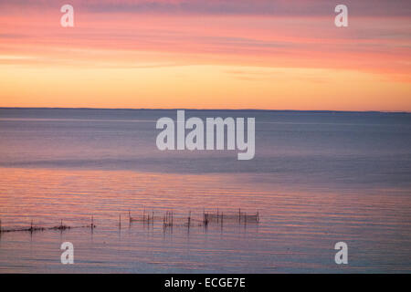 fishing nets in fort pond bay in Montauk long island Stock Photo - Alamy