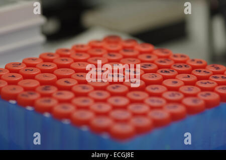 Orange cap plastic vials containing samples in a blue box Stock Photo ...