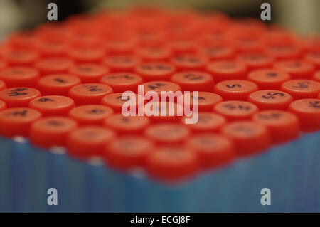 Orange cap plastic vials containing samples in a blue box Stock Photo ...