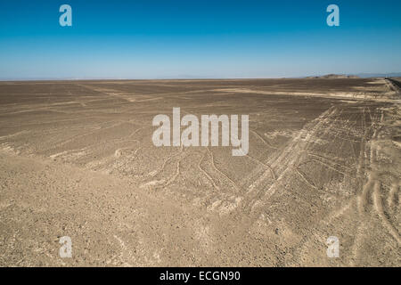 South America, Peru, Nazca Lines, ancient geoglyph markings,Peruvian ...