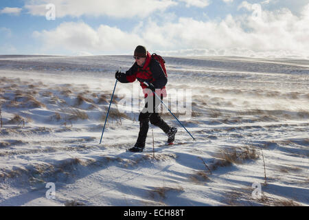 Cross Country Skier Skiing Through Drifting Snow in the North Pennines ...