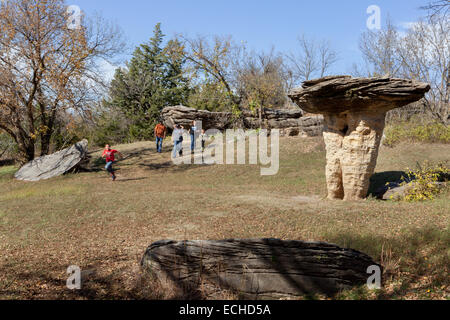 Kansas Mushroom State Park with a Mushroom Rock,blue sky,trees, and ...