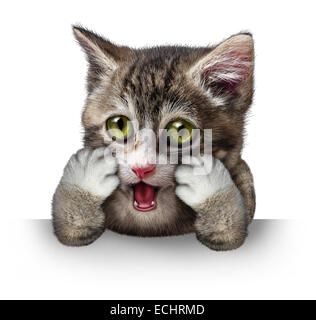 mascot cute cat Stock Photo - Alamy