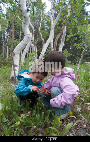 boy with two girls twins Stock Photo - Alamy