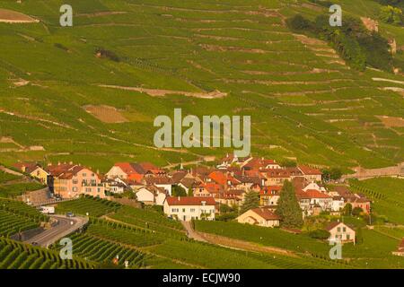 Epesses, Switzerland, Europe, canton Vaud, Lavaux, wine-growing area ...