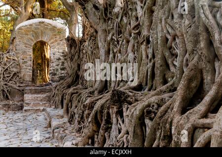 Ethiopia, Amhara region, Gondar, also calling Gonder Stock Photo - Alamy