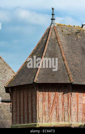France, Seine Maritime, Cleres, Cleres Zoological Park, Anglo Norman ...