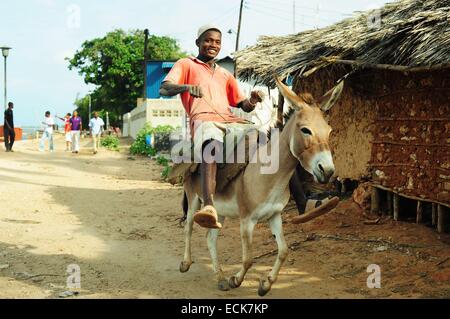 Kenya, Lamu archipelago, Lamu, man riding donkey Stock Photo - Alamy