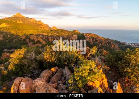 France, Var, Esterel Corniche, Agay, Esterel mountains, in the Cap Roux ...