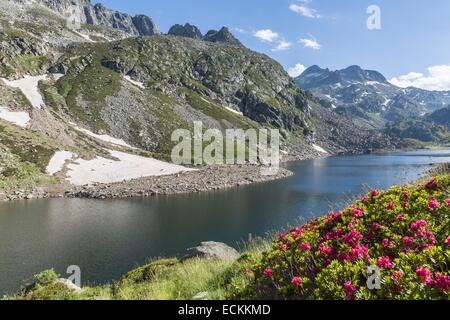 France, Ariege, Orlu, Orlu valley near Ax les Thermes, Orlu National ...