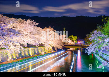 night view of Okazaki Canal with cherry blossom Stock Photo - Alamy