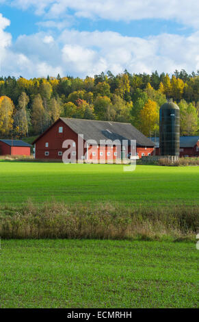 Tumba Sweden rural farming dairy with barn and home in green fields in ...