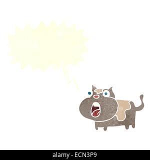 cartoon shocked cat with speech bubble Stock Vector Image & Art - Alamy