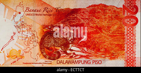 20 Piso banknote, Bank of Philippines, closeup bill fragment shows Map ...