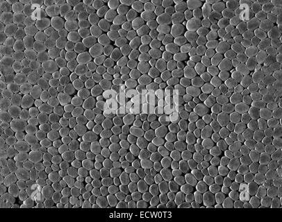 Full frame closeup of a grey Polystyrene surface Stock Photo - Alamy