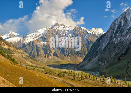 Dett Baltal Valley. Taken while driving from Sonamarg to Kargil then to ...