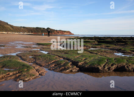 rock pools at exmouth on the south devon coast Stock Photo - Alamy