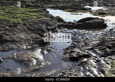 rock pools at exmouth on the south devon coast Stock Photo - Alamy