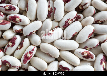 Dried Soldier beans Stock Photo - Alamy