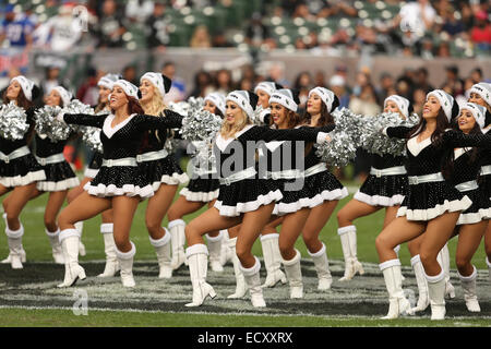 December 21, 2014: Raiderettes perform during the teams game against ...