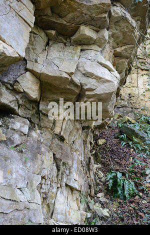 Old limestone quarry in the Peak District, showing fractured rock ...