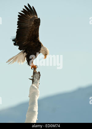 Mountain, River, Alaska Stock Photo - Alamy