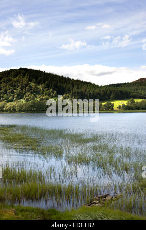 Loch Ruthven, RSPB Nature Reserve, The Highlands, Scotland, UK Stock ...