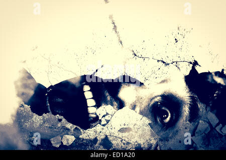 Ghost,Man Screaming On Shattered Grunge Wall Series,Horror Background ...