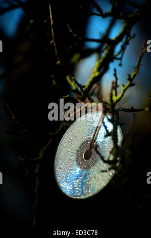 CD hanging in a tree as a bird scarer Stock Photo - Alamy