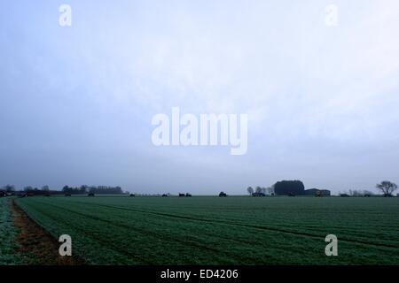 Larling, Norfolk, UK. 26th December 2014. The annual Boxing Day Larling ...