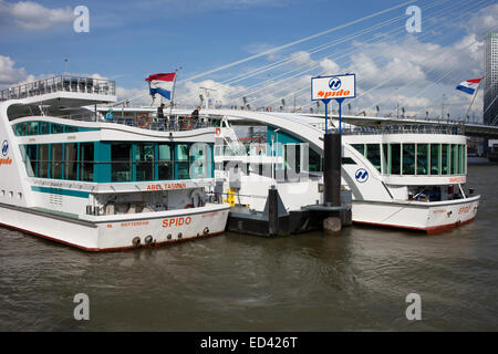 Spido tour ships at Erasmus Bridge (Dutch: Erasmusbrug) in city ...