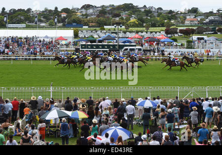 Auckland, New Zealand. 26th Dec, 2014. General view of punters and fans ...
