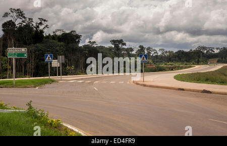 Construction of roads in the jungle to make the new capital city which ...