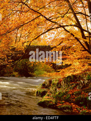 England: River Brathay, Clappersgate, Cumbria Stock Photo - Alamy