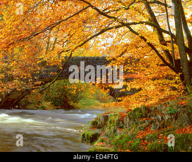 England: River Brathay, Clappersgate, Cumbria Stock Photo - Alamy