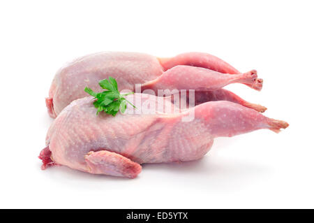 a plucked quail ready for cooking on a white background Stock Photo - Alamy