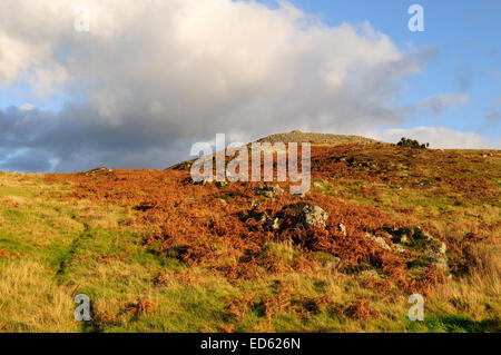 Garn Goch Iron Age Hill fort summit of Y Gaer Fawr Brecon Bethlehem ...
