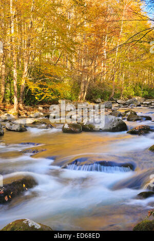 Little River, Little River Trail, Elkmont, Great Smoky Mountains ...